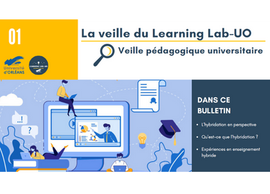 Veille pédagogique | Université d'Orléans
